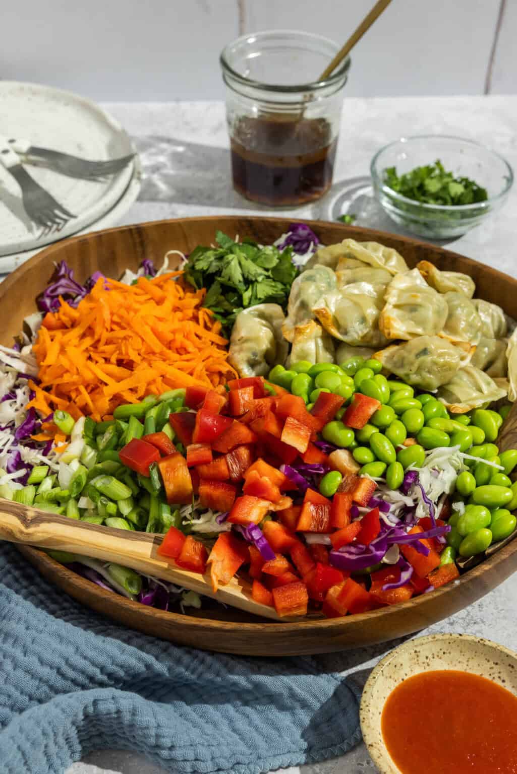 Wonton Salad with Sesame Dressing | Begin With Balance